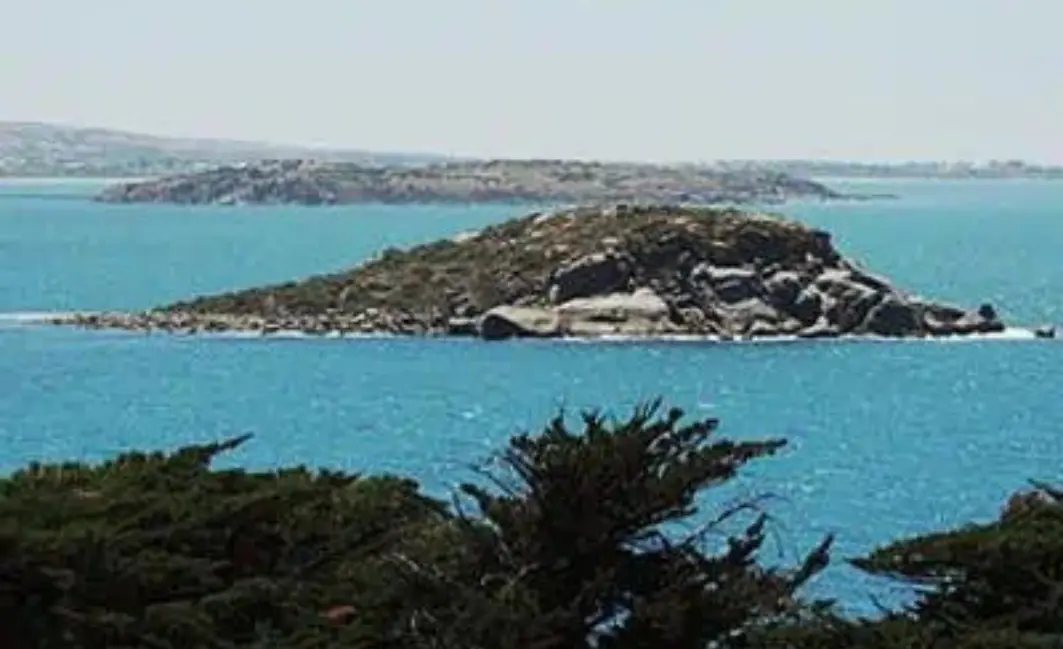 Encounter Bay Holiday Homes | Pet Friendly Accommodation